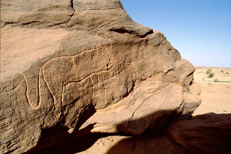 Niger - Trust For African Rock Art