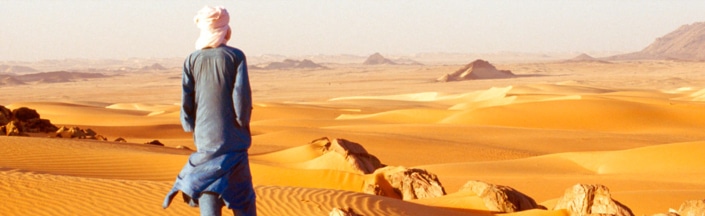 Trust For African Rock Art - Prehistoric African Paintings and Engravings