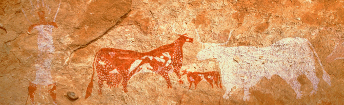 Trust For African Rock Art - Prehistoric African Paintings and Engravings